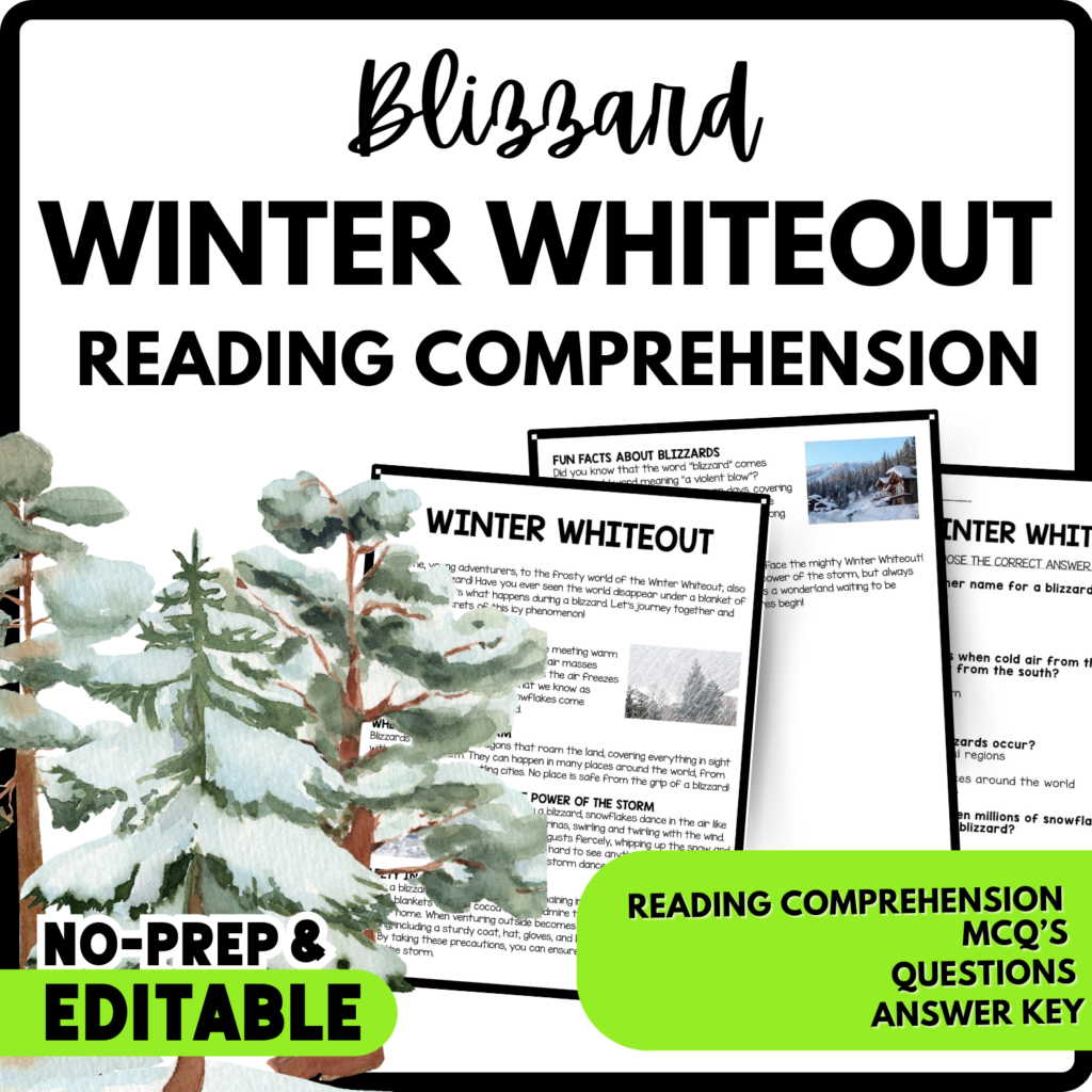 Winter Whiteout Reading Comprehension Worksheet - Teachers Stock
